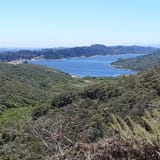 Sweeney Ridge Trail via Sneath Lane, California - 1,022 Reviews, Map ...