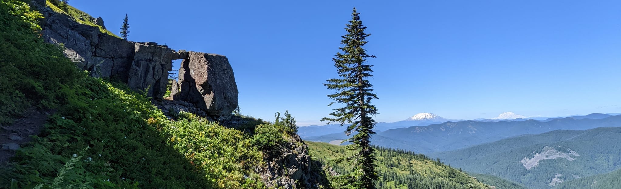 Silver Star and Ed's Trail Loop - Washington#N# | AllTrails