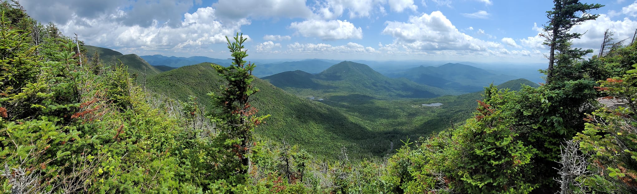 Mount Redfield and Cliff Mountain via Calamity Brook Trail: 532 Reviews ...