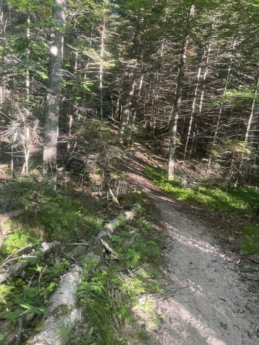 2023 Best trails in North Point Nature Preserve | AllTrails