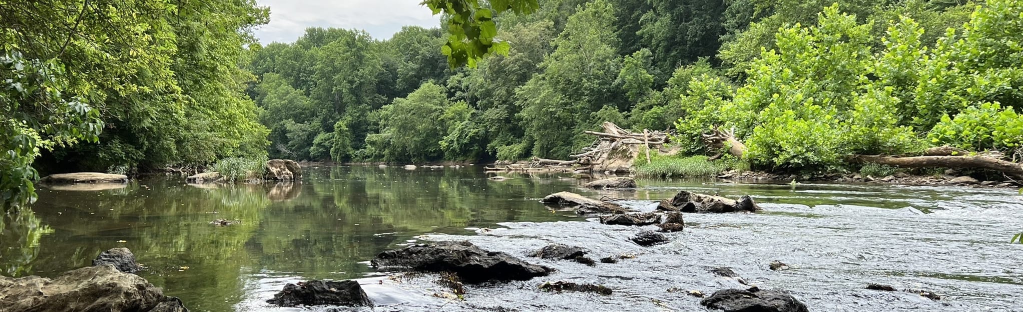 Fort Germanna Red and Blue Trail Loop, Virginia - 253 Reviews, Map ...