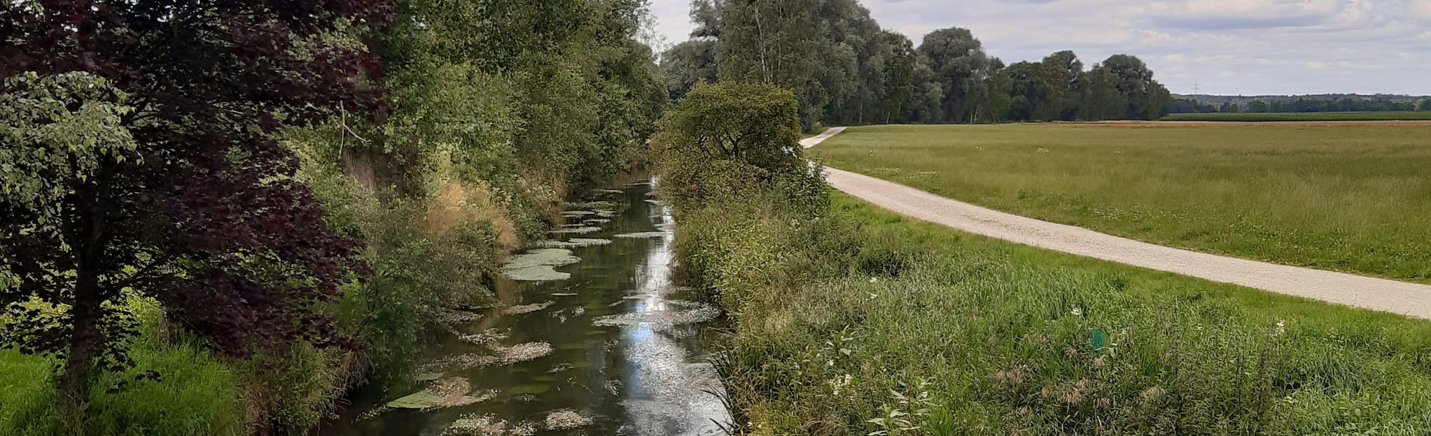 Grafing nach Aßling: 8 Reviews, Map - Bavaria, Germany | AllTrails