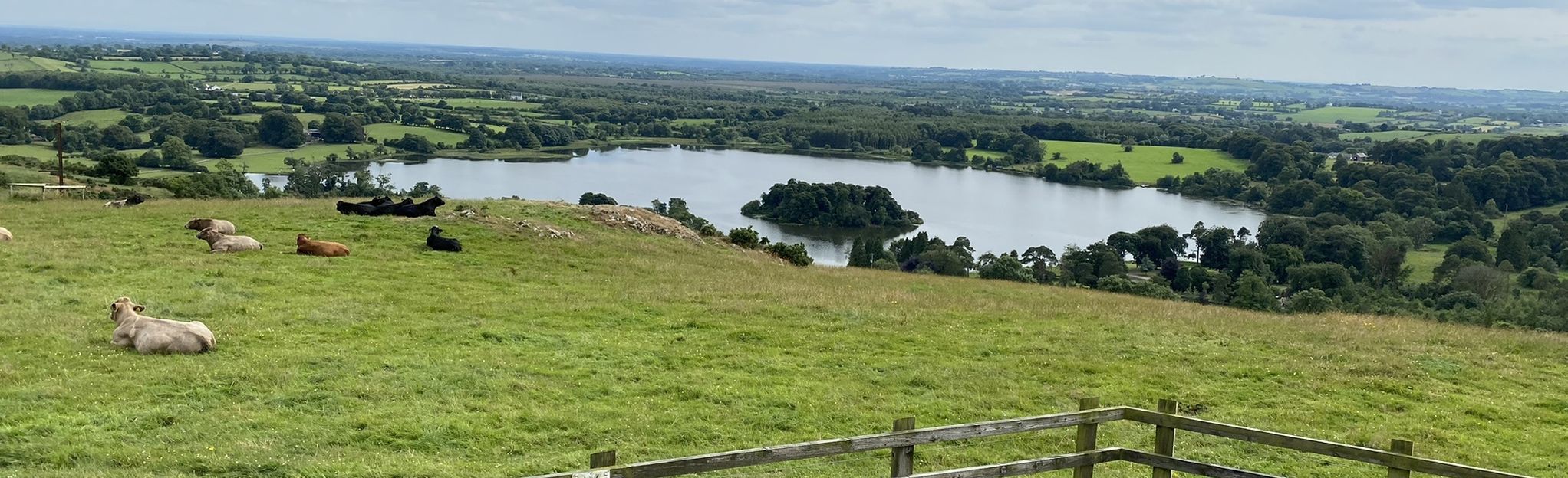 Mullagh Hill, County Cavan, Ireland - 2 Reviews, Map | AllTrails