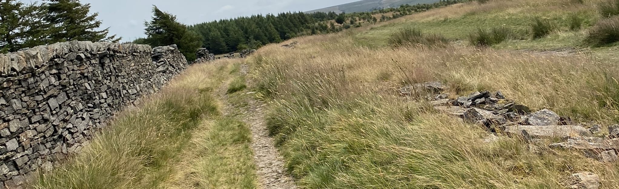 Stacksteads and Huncoat Quarry Circular - Lancashire, England | AllTrails