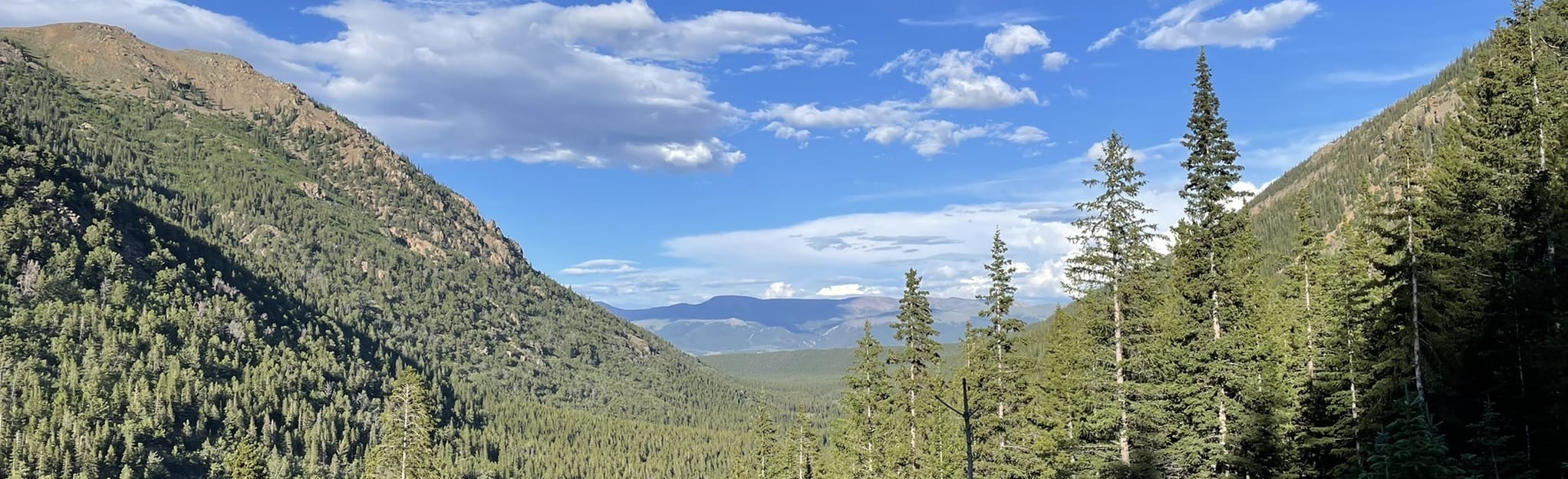 French Mountain via Halfmoon Road: 18 Reviews, Map - Colorado | AllTrails