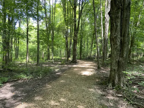 Best Hikes and Trails in Sandusky Hollow Nature Preserve | AllTrails
