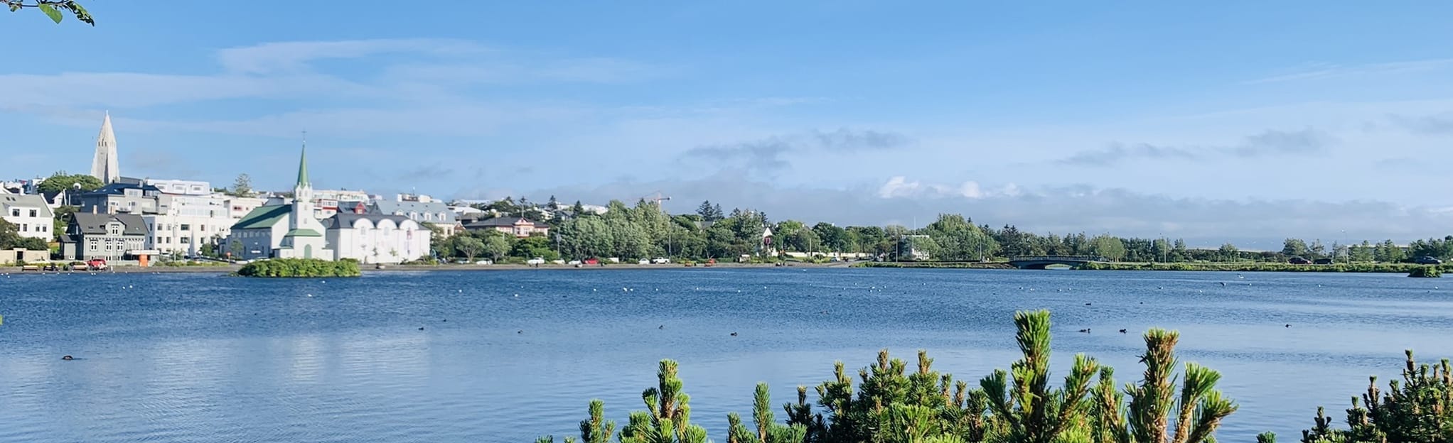 Reykjavik and Laugarnes Walk: 2 Reviews, Map - Capital, Iceland | AllTrails