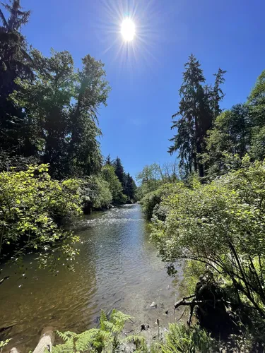 10 Best Trails and Hikes in Campbell River | AllTrails