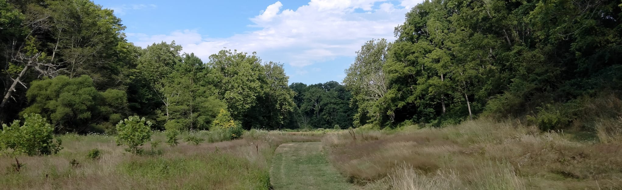 Red Brook Metropark Outer Loop: 16 Reviews, Map - Ohio | AllTrails