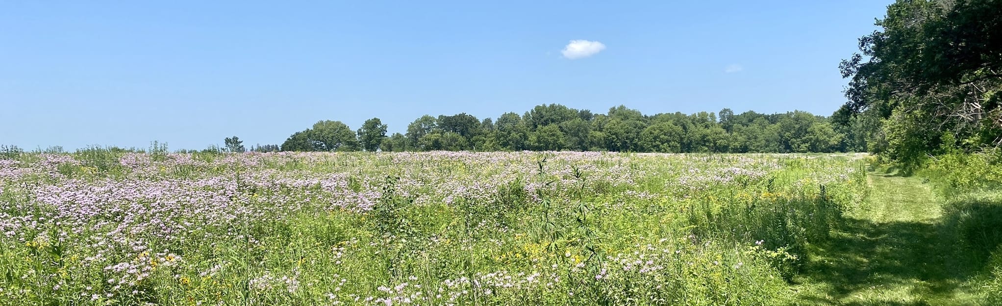 Cedar River Greenway North, Iowa - 18 Reviews, Map | AllTrails