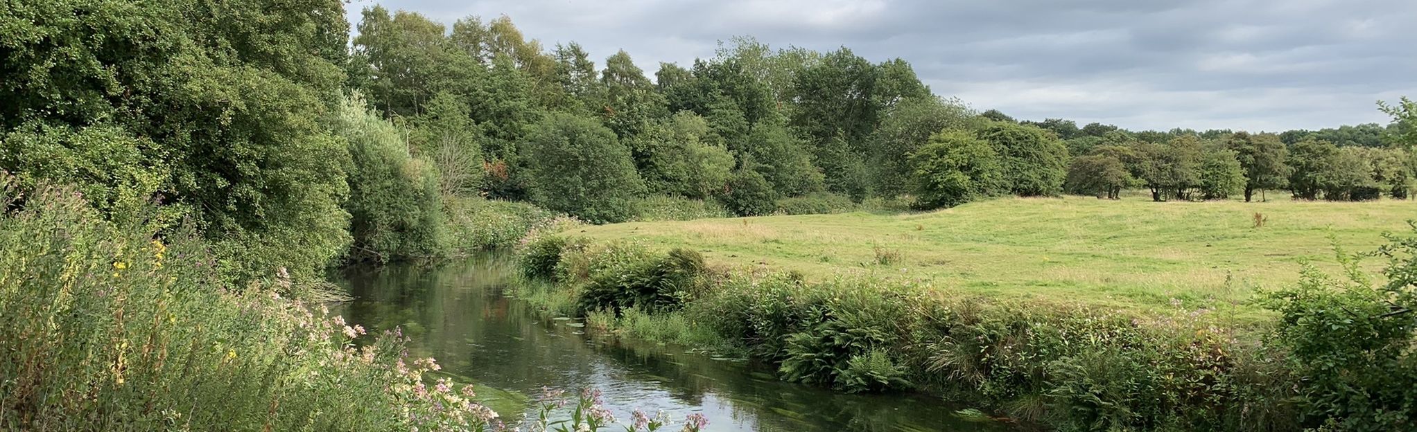 Fallowfield Loop And River Tame Greater Manchester England 25