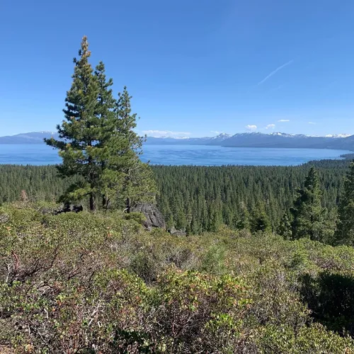 10 Best Trails and Hikes in Tahoe City | AllTrails