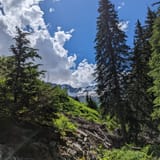 Loop Brook Trail, British Columbia, Canada - 142 Reviews, Map | AllTrails