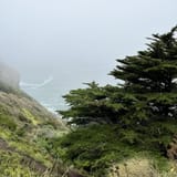 Ragged Point Inn Trail, California - 166 Reviews, Map | AllTrails