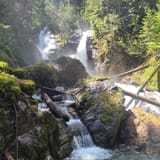 Begbie Falls, British Columbia, Canada - 165 Reviews, Map | AllTrails