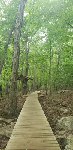 10 Best Hikes and Trails in Blevin's Gap Nature Preserve | AllTrails