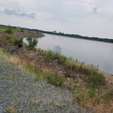 Newark Reservoir Trail, Delaware - 572 Reviews, Map | AllTrails