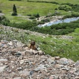 Alpine Loop National Back Country Byway, Colorado - 254 Reviews, Map ...