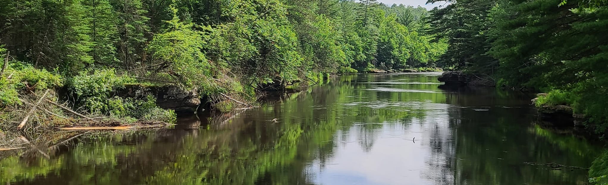 Quarry Loop Trail: 1.388 Fotos - Minnesota | AllTrails