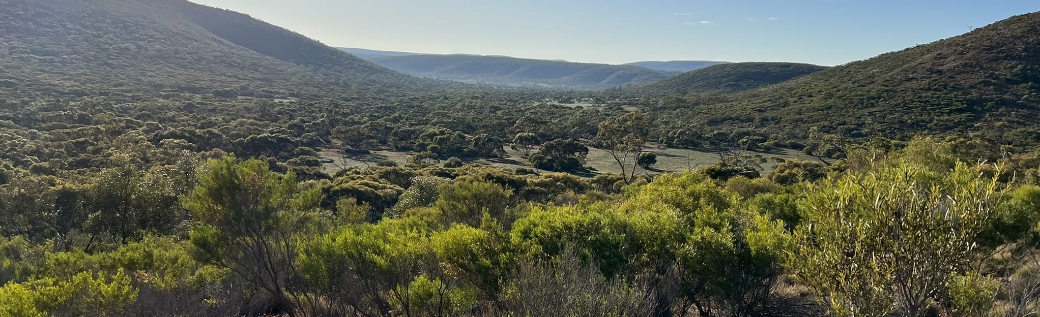 Mattera Campground Track, South Australia, Australia - 3 Reviews, Map ...