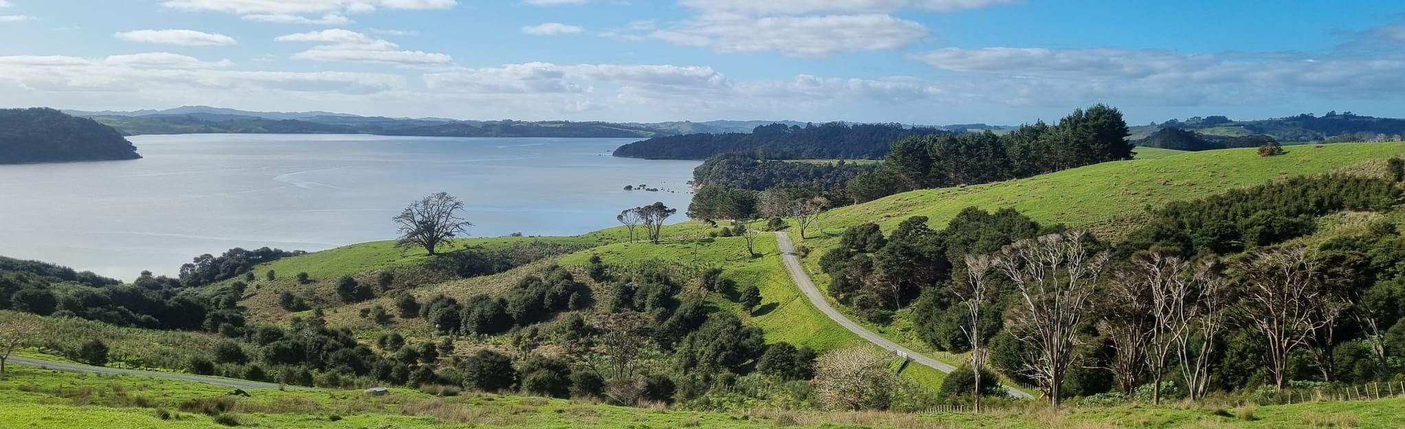 Oruawharo River Trail, Auckland, New Zealand - 9 Reviews, Map | AllTrails