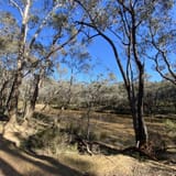 Strathdale to One Tree Hill Circuit, Victoria, Australia - 76 Reviews ...