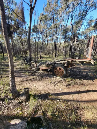 Best Hikes and Trails in Walmer Forest Reserve | AllTrails