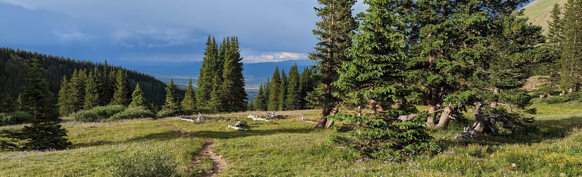 Hope Pass via Willis Gulch Trail, Colorado - 382 Reviews, Map | AllTrails