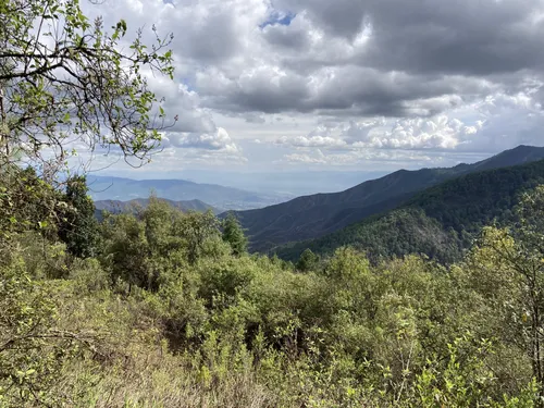 Best Hikes and Trails in Benito Juárez National Park | AllTrails