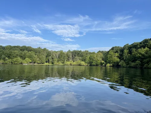 Best Hikes and Trails in Shuman Point Natural Area | AllTrails