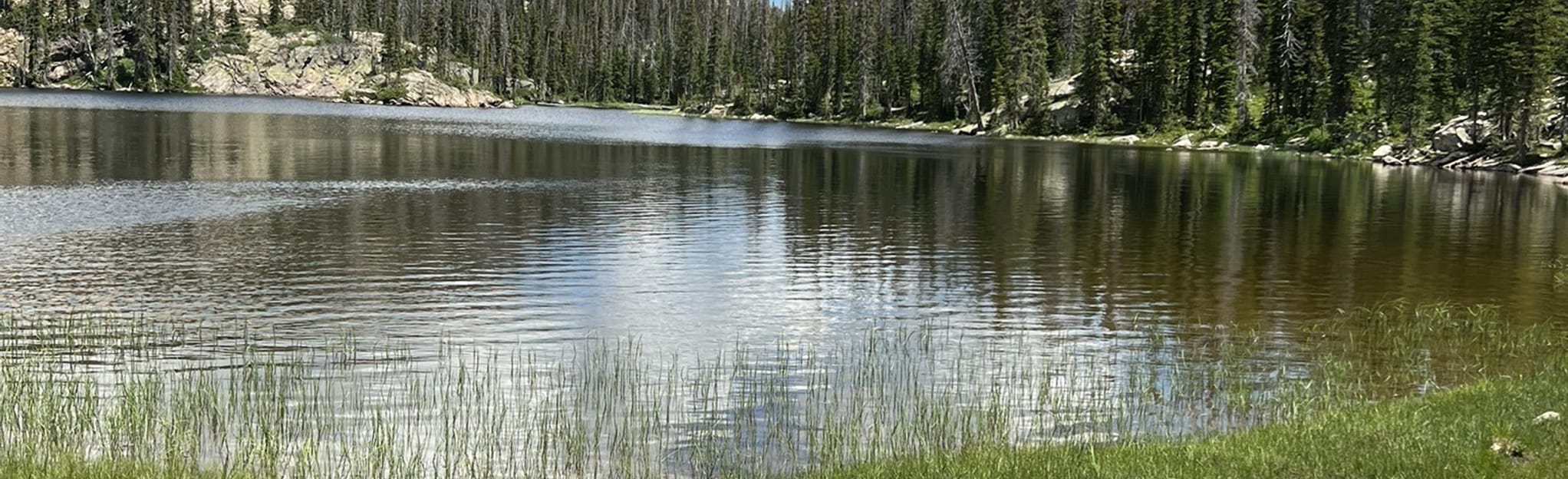Buffalo Pass Lakes Loop: 141 foto - Colorado | AllTrails