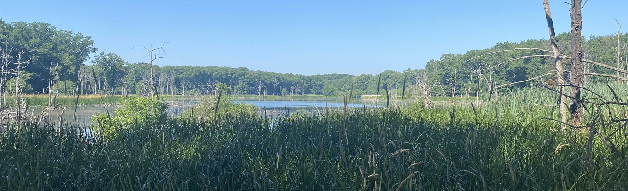 Tinley Creek Blue and Yellow Trails, Illinois - 39 Reviews, Map | AllTrails