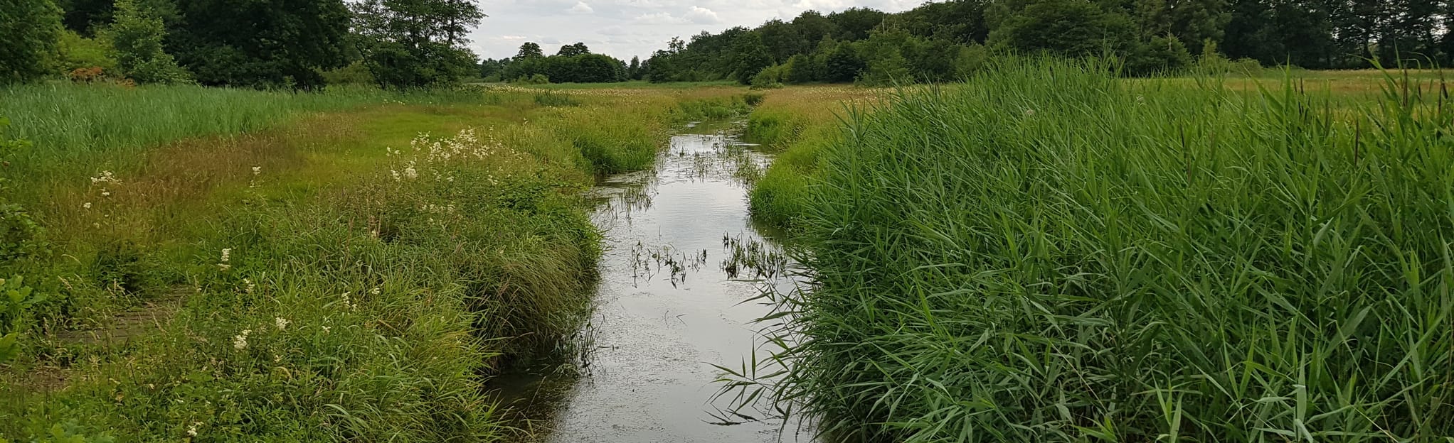 Rondje Oudemolen en Oudemolense Diep | Map, Guide - Drenthe ...