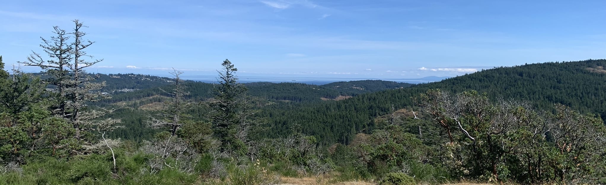 Alan's Alp via Pleasant Trail: 43 Reviews, Map - British Columbia ...