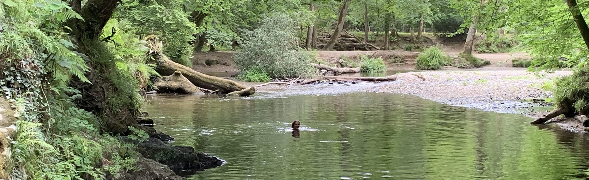 Plymbridge Old Canal and River Walk: 39 Reviews, Map - Devon, England ...