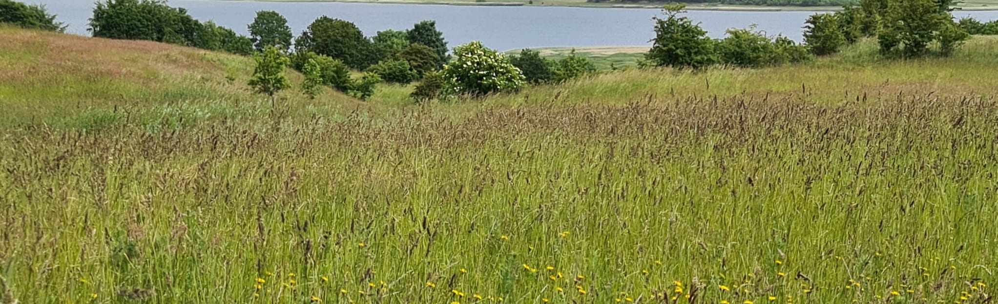 Hærvejen - Viborg to Aars, Central Denmark, Denmark - 3 Reviews, Map ...