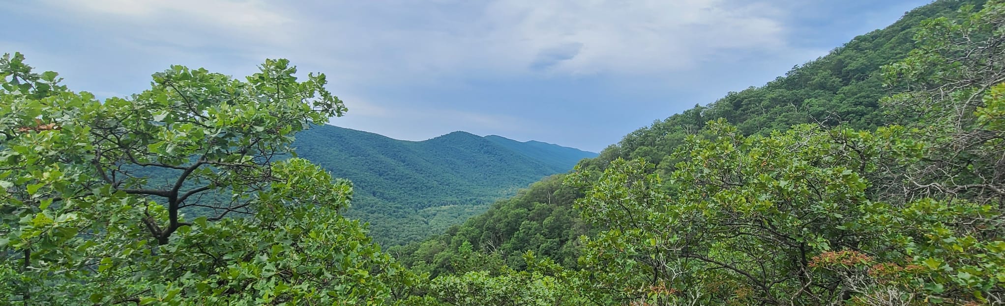 Meneka Peak Loop, Virginia - 519 Reviews, Map | AllTrails