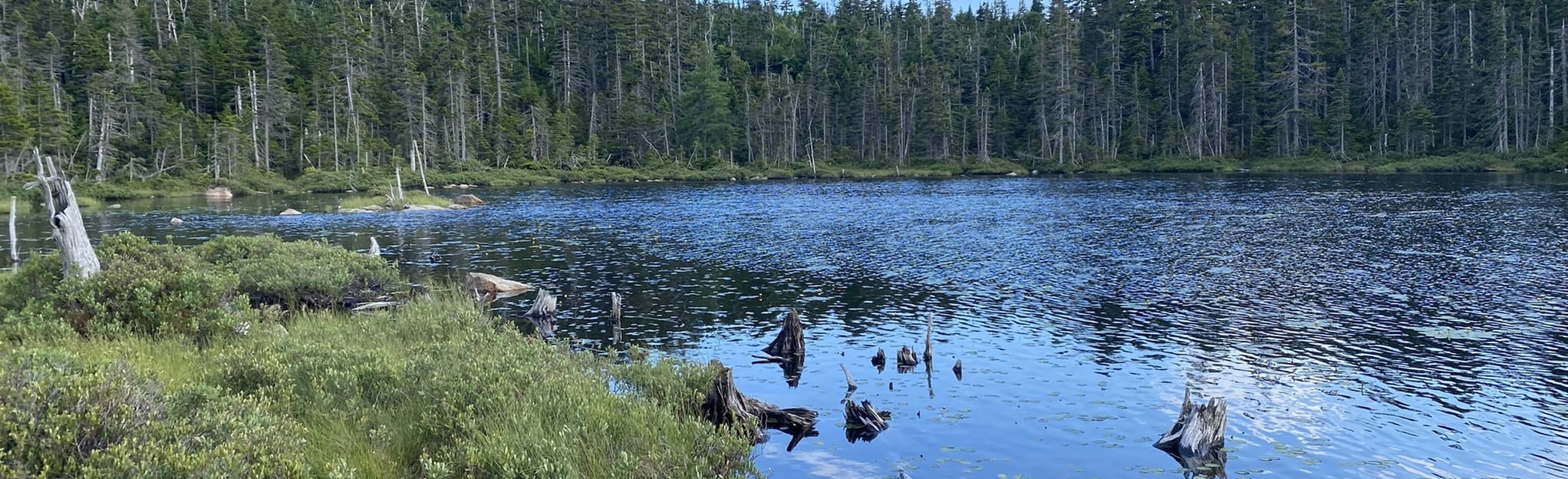 Nancy Pond, New Hampshire - 48 Reviews, Map | AllTrails