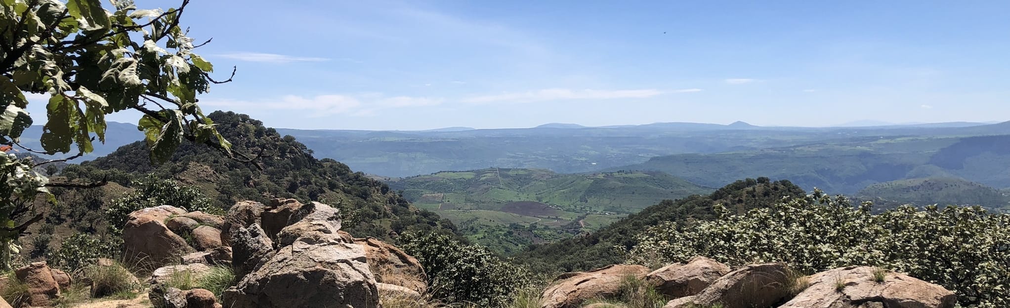 San Esteban South Peak, Jalisco, Mexico - 5 Reviews, Map | AllTrails