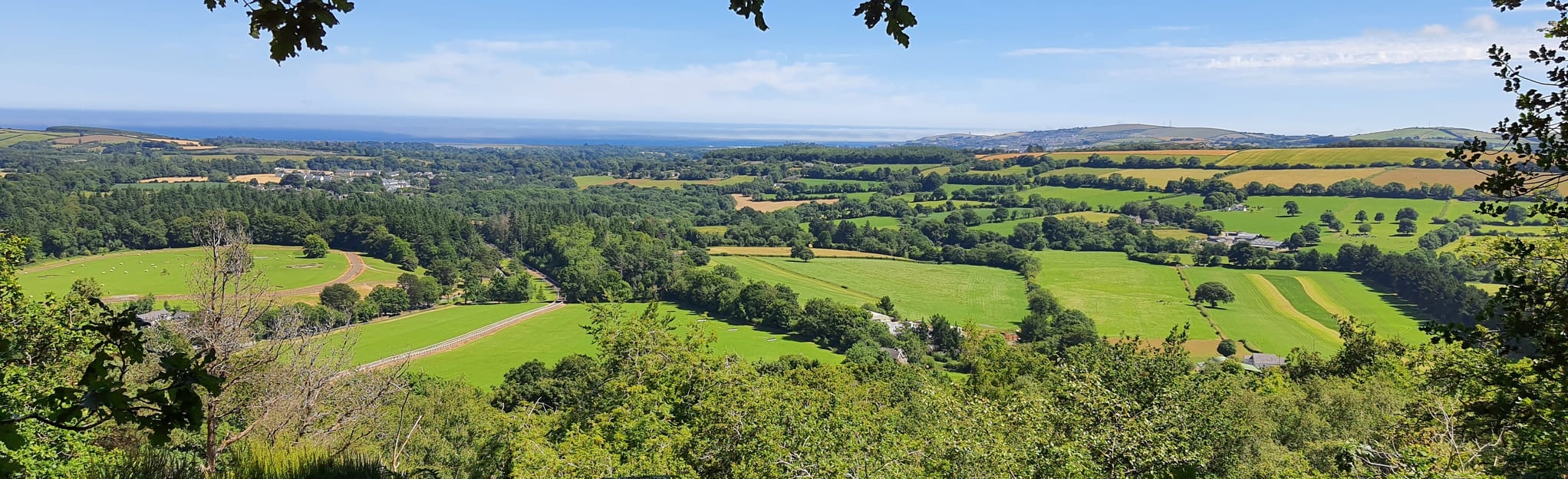 The Devil's Glen - Seamus Heaney Walk: 43 Reviews, 120 Photos, Map ...