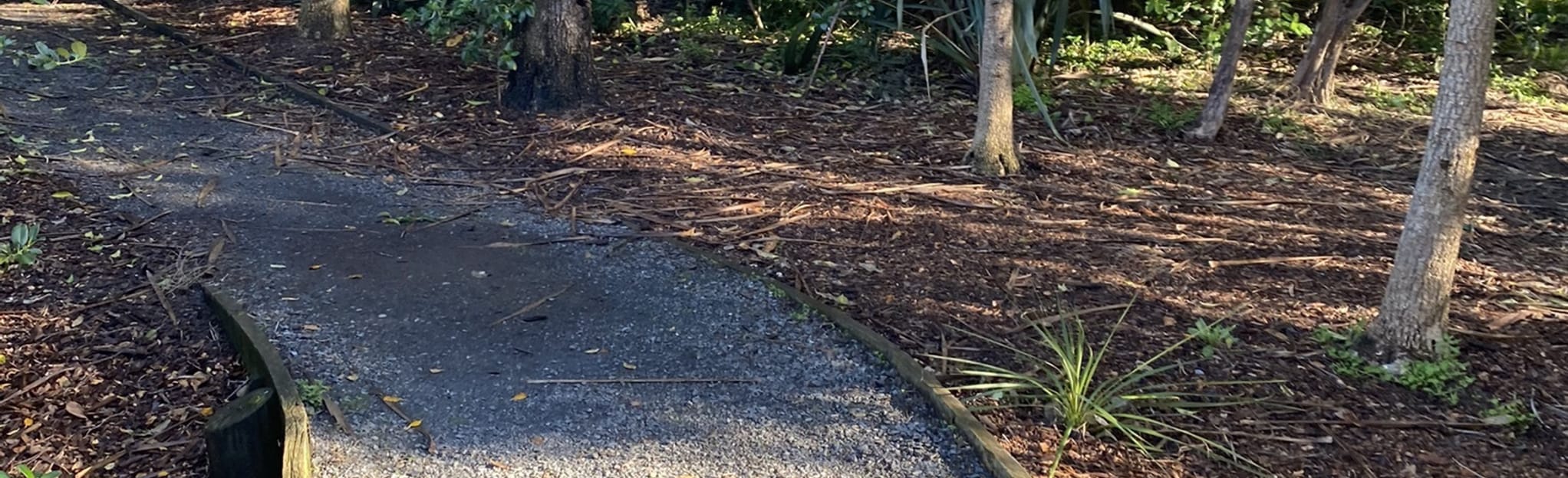 Manawa Wetland Loop: 3 Reviews, Map - Auckland, New Zealand | AllTrails