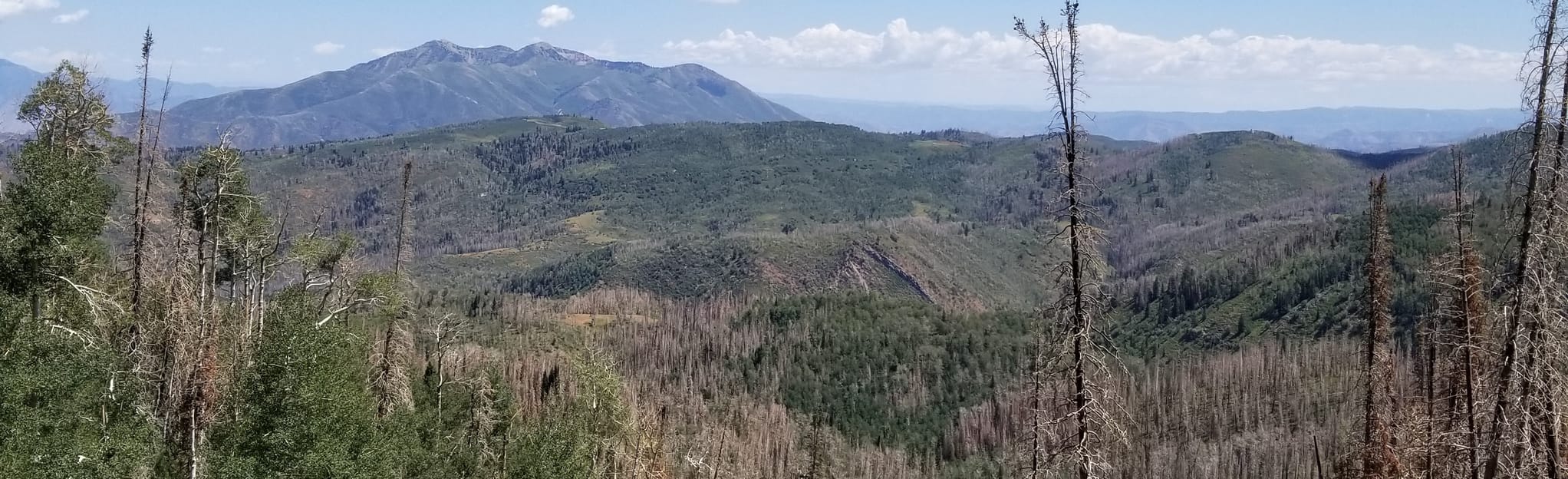 North Peak and Mount Nebo Trail: 9 Reviews, Map - Utah | AllTrails