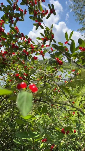 Best Hikes and Trails in Finzel Swamp Preserve | AllTrails