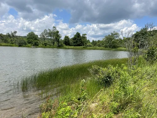 Best Hikes and Trails in Finzel Swamp Preserve | AllTrails