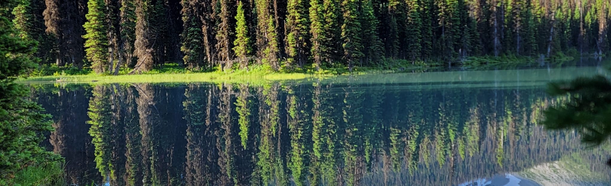 Interlakes, Lower and Upper Elk Trail Loop: 8 Reviews, Map - British ...
