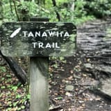 Tanawha Trail via Beacon Heights, North Carolina - 254 Reviews, Map ...