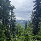 Numa Lookout, Montana - 269 Reviews, Map | AllTrails