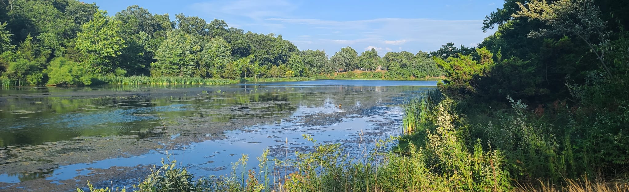 Washington Valley White, Blue and Orange Trail, New Jersey - 581 ...