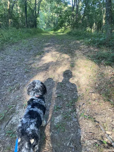 Best Hikes and Trails in Sam Dale Lake State Fish and Wildlife Area ...