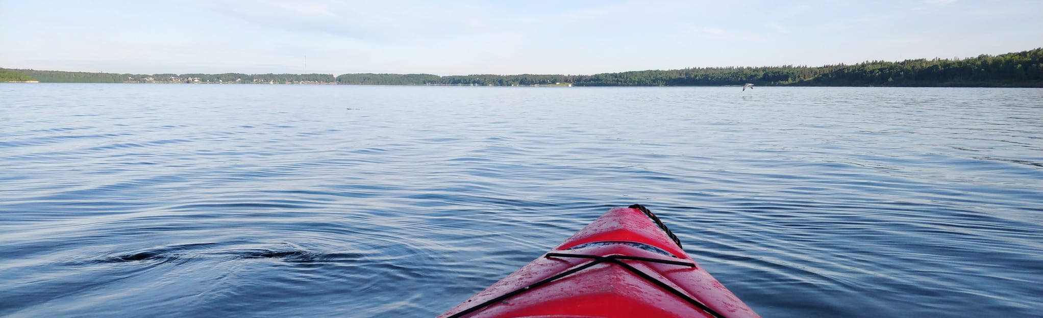 Beaver Lake Paddle, Alberta, Canada - Map, Guide | AllTrails